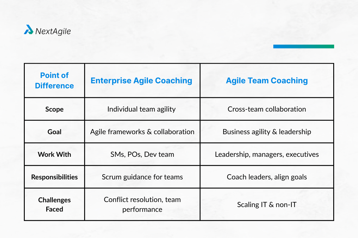 Enterprise Agile Coach: Guide To Agile Leadership